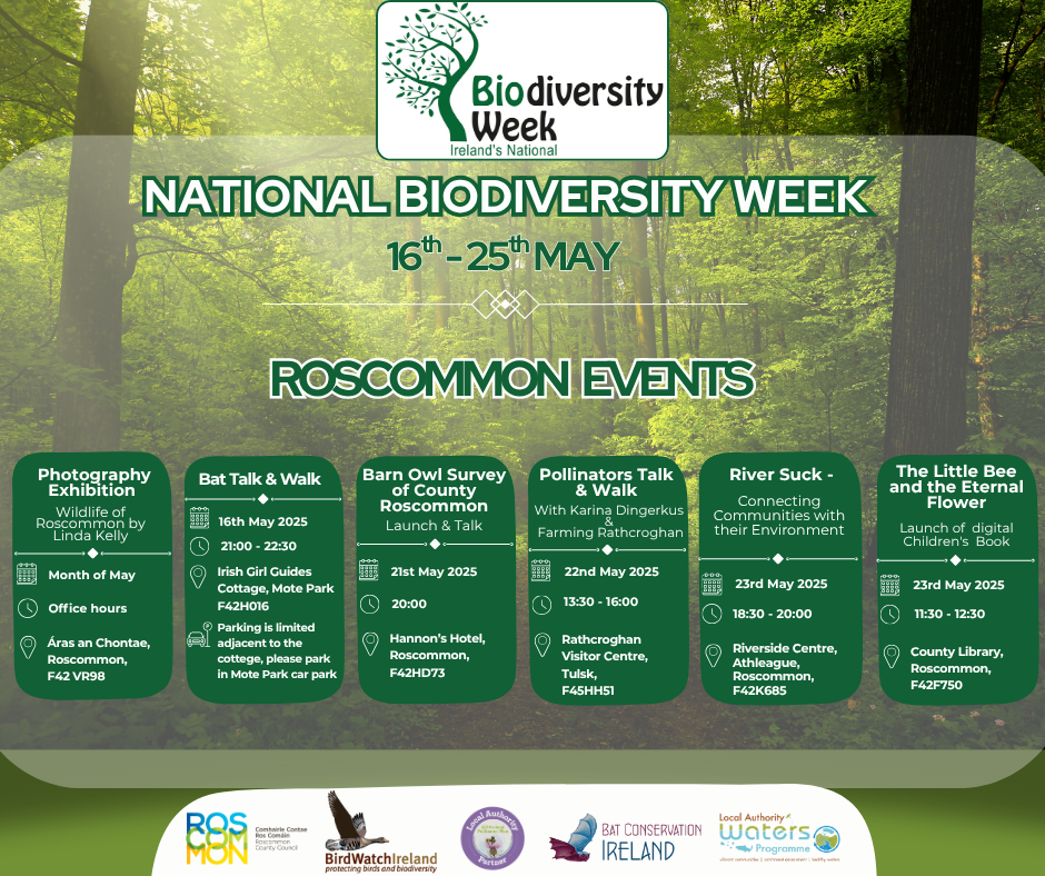 National Biodiversity Week 2025 - Roscommon County Council